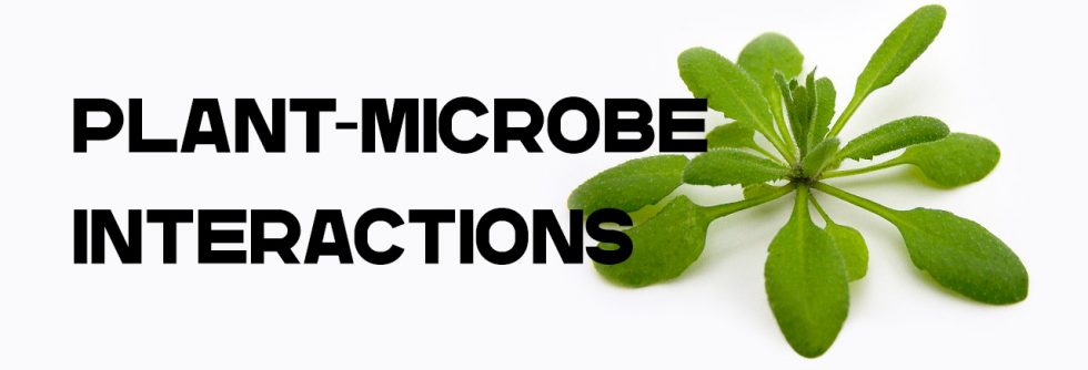 Gabriel Castrillo | Plant-microbe interactions